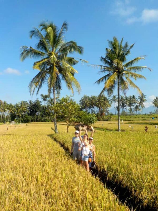 Ubud: Half-Day Tegallalang Electric Cycling Tour - Introduction: A Relaxed Yet Rich Way to Explore Bali