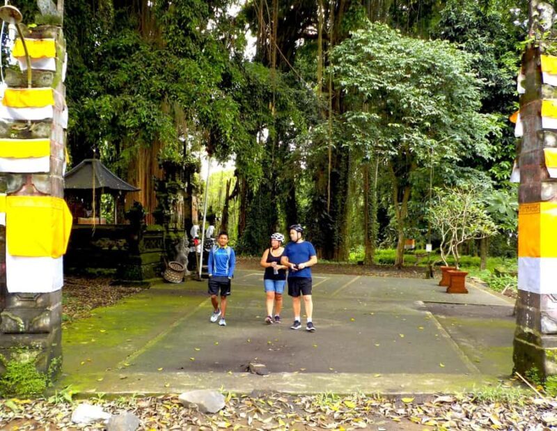 Ubud: Half-Day Tegallalang Electric Cycling Tour - What Makes This Tour Stand Out