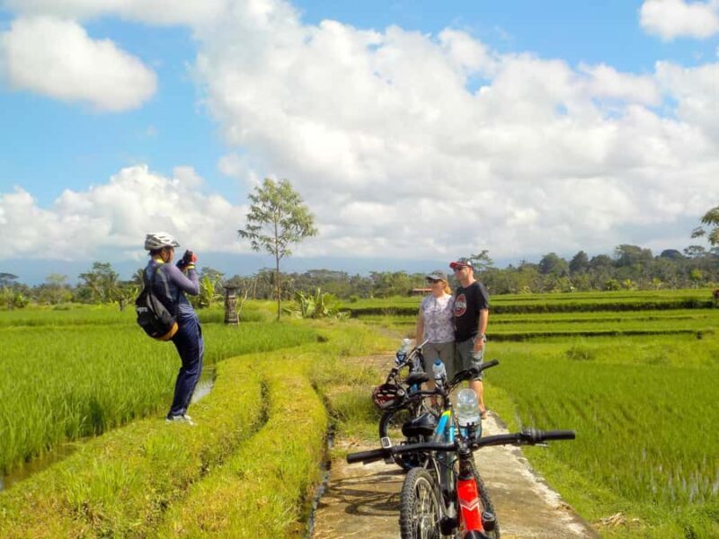 Ubud: Half-Day Tegallalang Electric Cycling Tour - Practical Details and Considerations