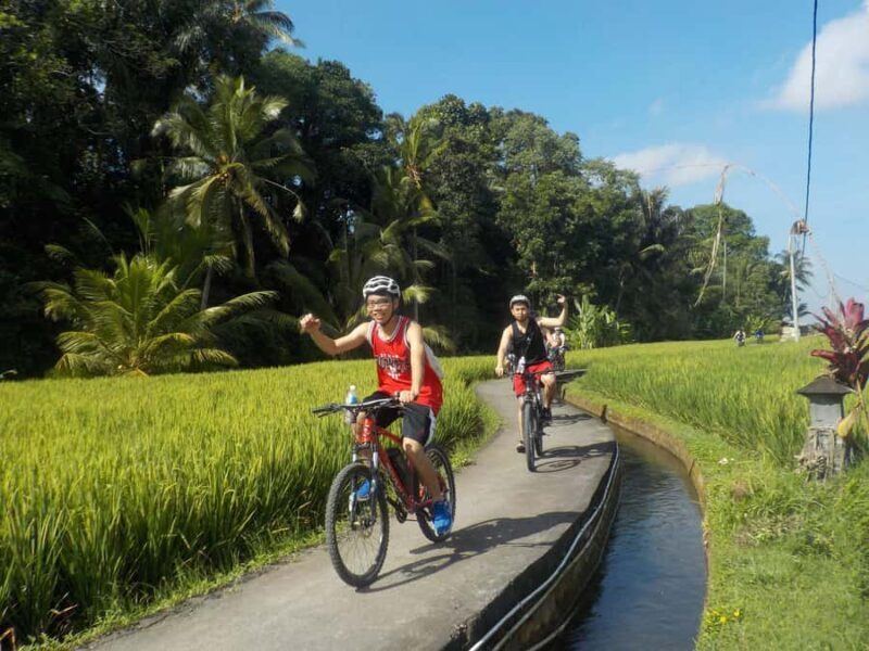 Ubud: Half-Day Tegallalang Electric Cycling Tour - FAQ