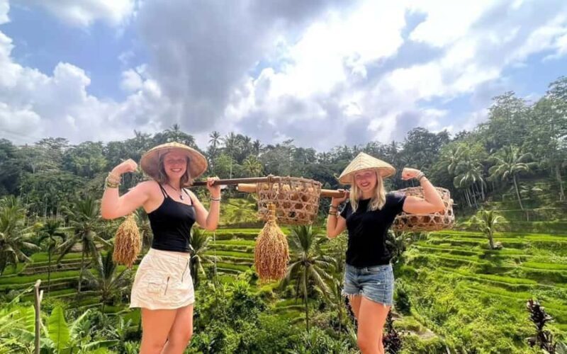 Ubud Half Day Waterfall Tour & Temple - Key Points