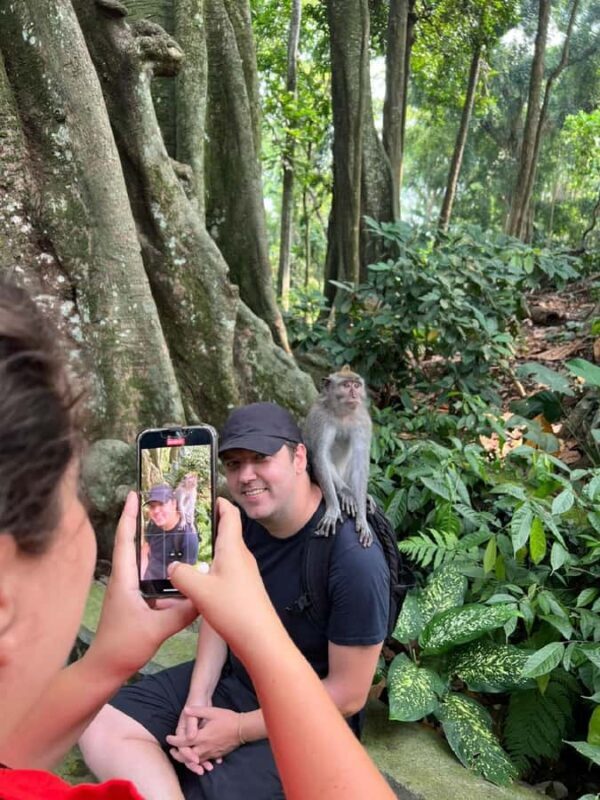 Ubud Half Day Waterfall Tour & Temple - The Sum Up