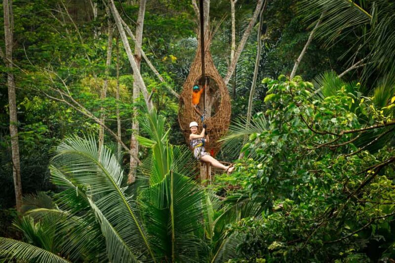Ubud: Half-Day Zipline and Jungle Swing Adventure - Who Will Love This Tour?