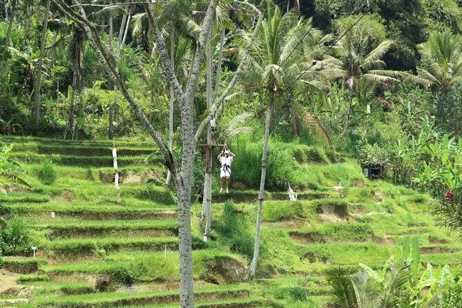 Ubud Half Day Zipline and Jungle Swing - FAQ