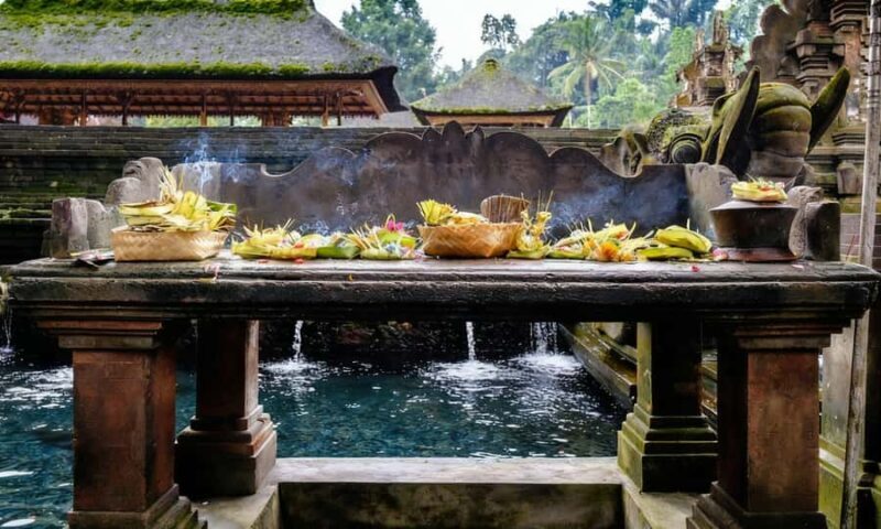 Ubud Harmony & Balance: Temples, Rice Fields & Waterfalls - The Practicalities: What to Expect
