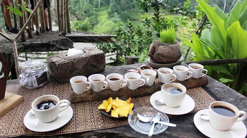 Ubud Healing Journey Experience - All Inclusive - Key Points