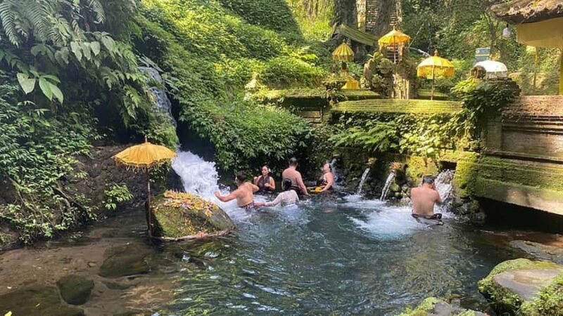Ubud Healing Journey Experience - All Inclusive - Exploring the Ubud Healing Journey Experience