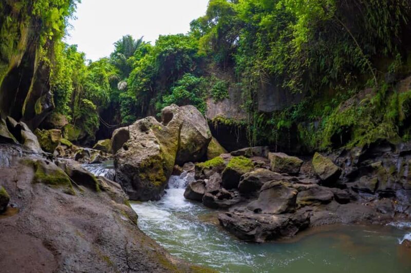 Ubud: Hidden Canyon Beji Guwang Guided Tour - Practicalities and Tips
