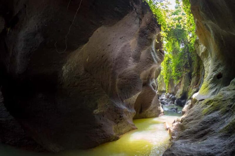 Ubud: Hidden Canyon Beji Guwang Guided Tour - Pricing and Value