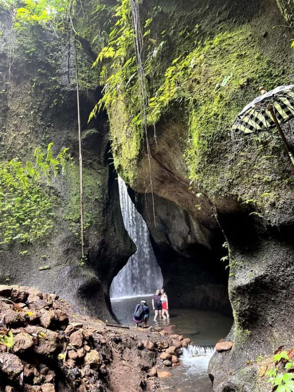 Ubud: Hidden Gems and Waterfalls Private Tour - An In-Depth Look at the Tour