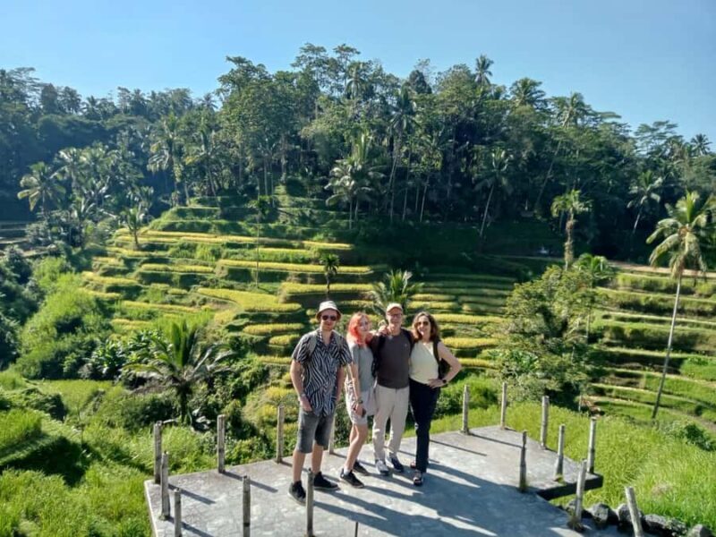 Ubud: Hidden Gems and Waterfalls Private Tour - The Sum Up