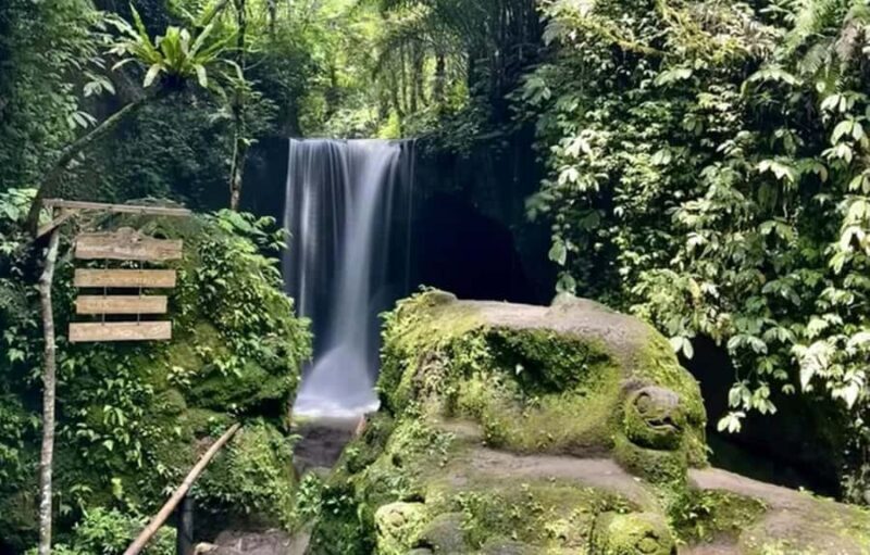 Ubud Hidden Gems: Waterfall Tour - Discover the Waterfalls of Bali: A Detailed Look