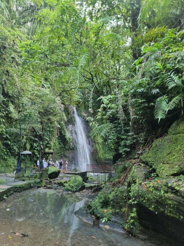 Ubud Hidden Gems: Waterfall Tour - Key Points
