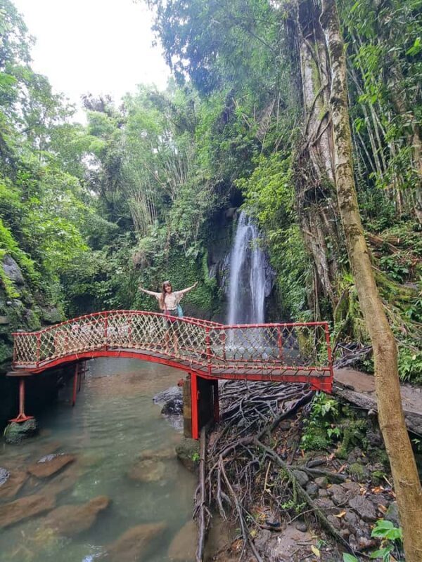 Ubud Hidden Gems: Waterfall Tour - The Value of a Private Waterfall Tour