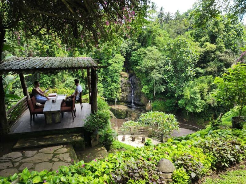 Ubud: Hidden Waterfalls, Rice terrace & Cliffside Dining - Scenic Lunch with a View