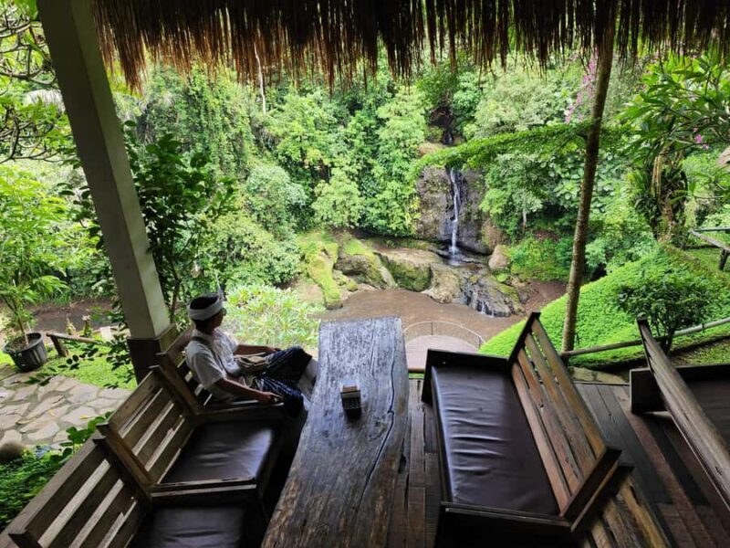 Ubud: Hidden Waterfalls, Rice terrace & Cliffside Dining - Tegalalang Rice Terrace: Iconic and Photogenic