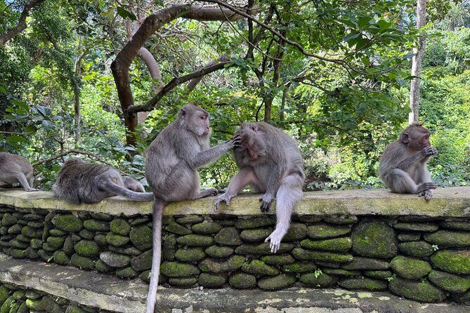 Ubud Highlights Private Day Tour - Starting off with Convenience: Hotel Pickup and Private Transport