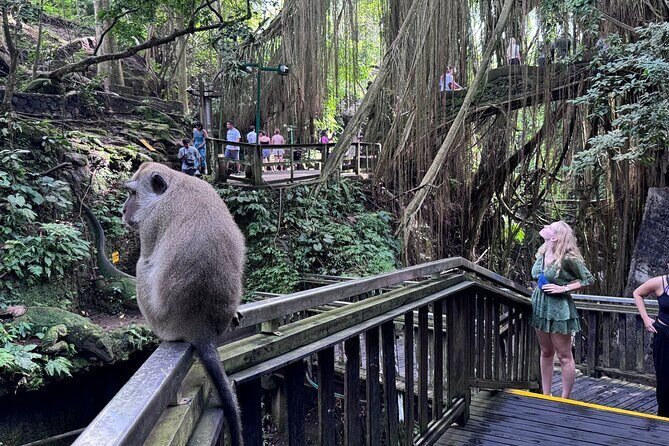 Ubud Highlights Private Day Tour - Scenic Rice Terraces: Tegalalang