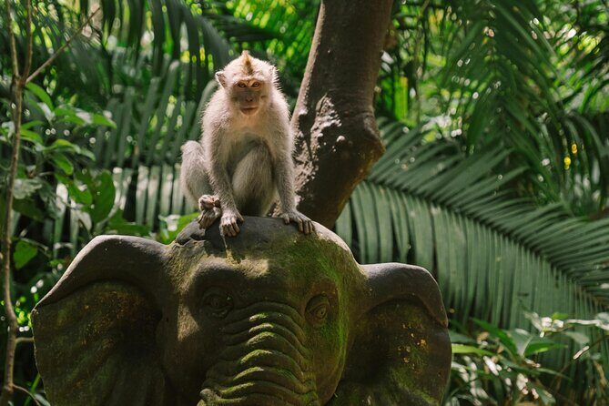 Ubud Highlights Private Tour All Inclusive with Jungle Swing - Key Points