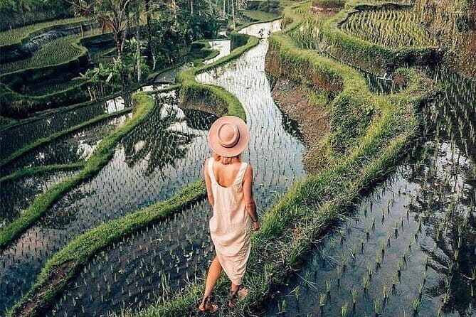 Ubud Highlights -Private Tour,Temples, Waterfalls & Rice terraces - Discovering Bali’s Cultural Heart and Natural Beauty