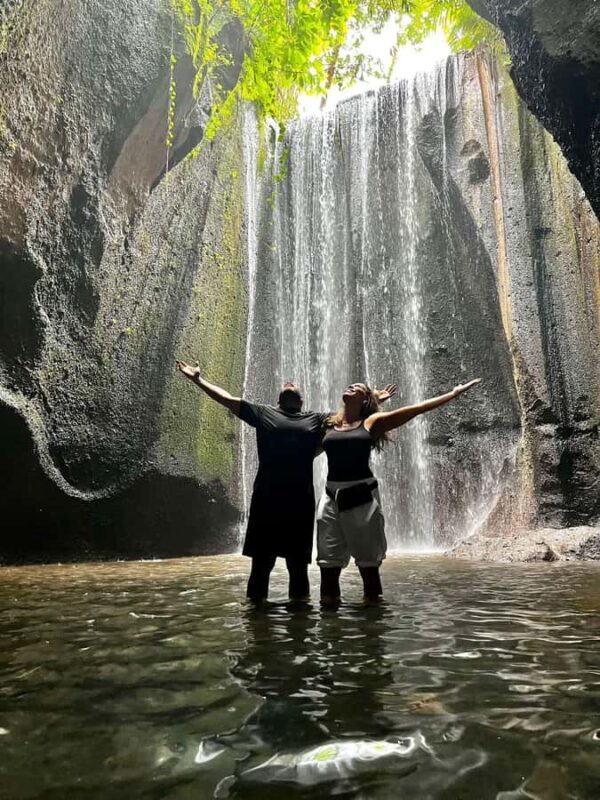 Ubud Highlights: The Ultimate Balinese Experience - What Makes This Tour Stand Out