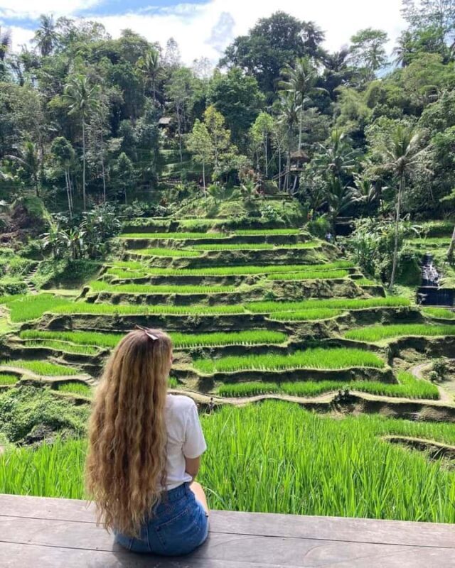 Ubud Highlights Tour: Akasa Café, Rice Terrace & Happy Swing - Who Should Consider This Tour?