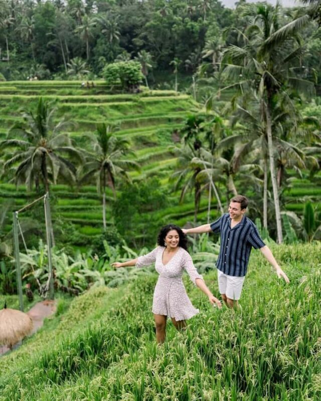 Ubud Highlights Tours Customized With Private Driver & Guide - Key Points