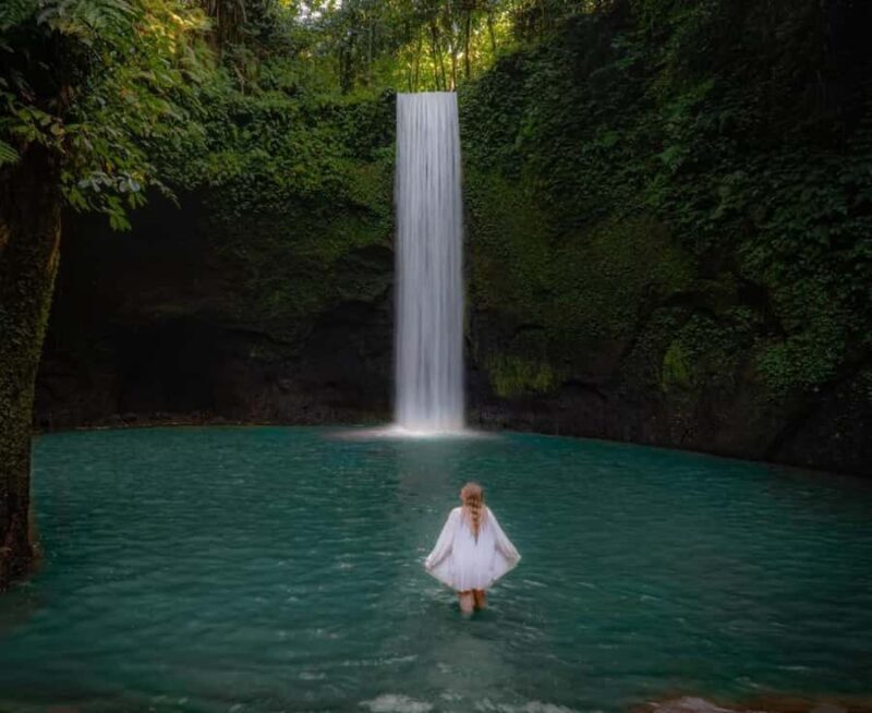 Ubud Highlights Tours Customized With Private Driver & Guide - FAQ