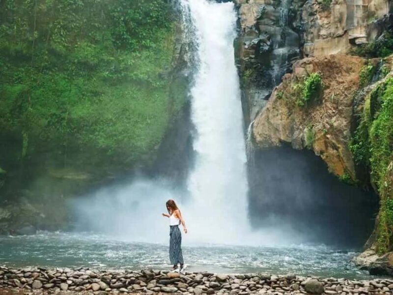 Ubud: Horse Ride, Turtle Conservation Visit & Waterfall Tour - Authentic Experiences and Traveler Feedback