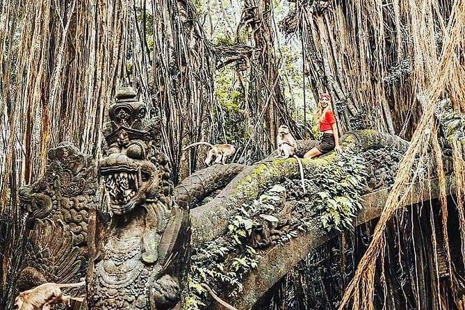 Ubud iconic waterfall and temple tours - Authentic Experiences and Extras