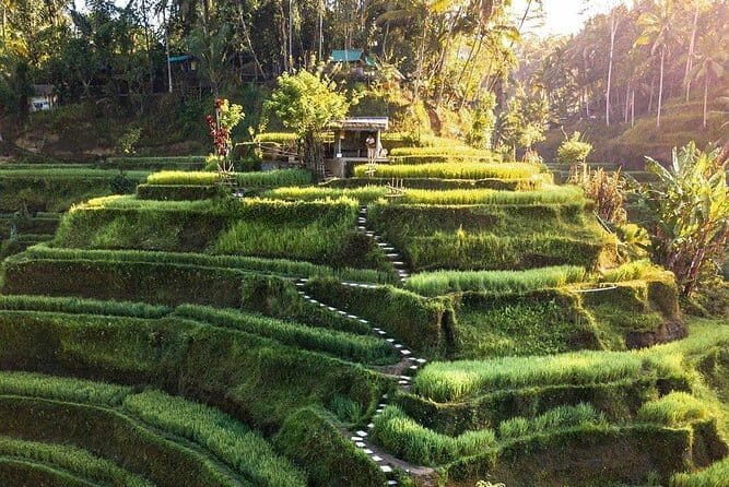 Ubud In On Day - Key Points