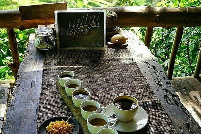 Ubud In On Day - Introduction: Why Consider the Ubud In On Day Tour?