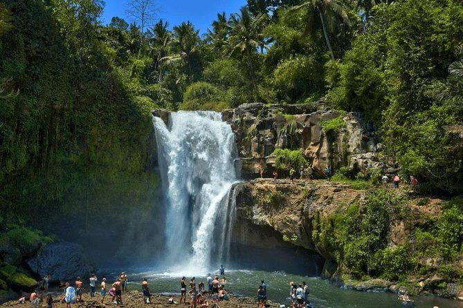 Ubud Instagram: Waterfall Tours - Transportation, Timing, and Comfort