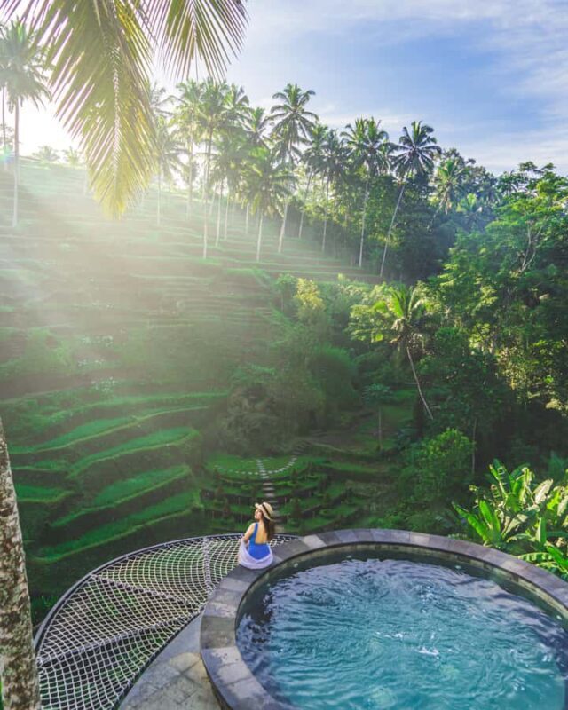 Ubud: Jungle Mud Buggy, Waterfall & Cretya Pool Private Tour - What Makes This Tour Stand Out