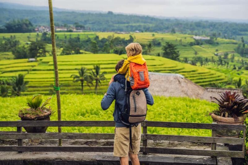 Ubud: Jungle Mud Buggy, Waterfall & Cretya Pool Private Tour - Who Should Consider This Tour?