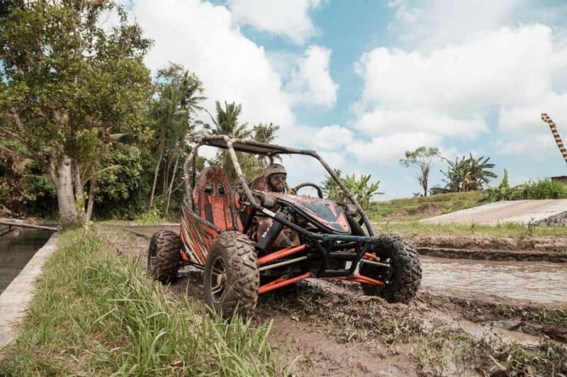 Ubud: Jungle Mud Buggy, Waterfall & Cretya Pool Private Tour - The Sum Up
