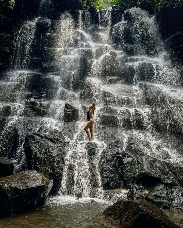 Ubud: Kanto Lampo Waterfalls, Jungle Swing, Rice Terrace - Discovering Ubud’s Natural Treasures on a Private Tour