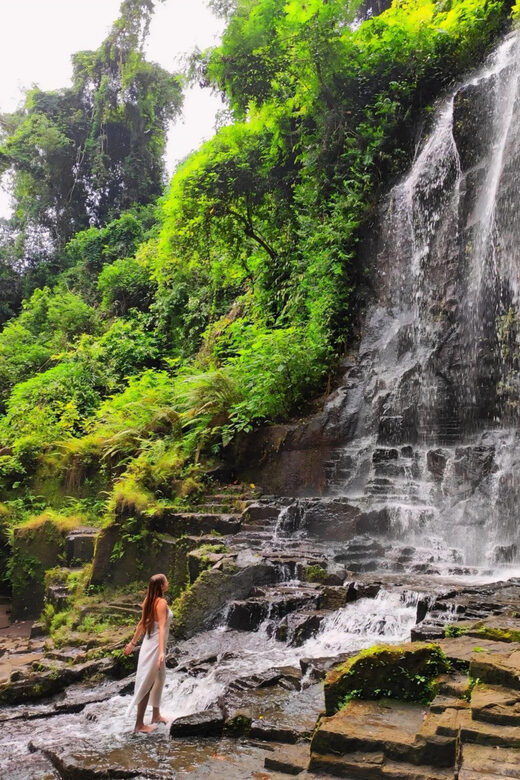 Ubud: Kanto Lampo Waterfalls, Jungle Swing, Rice Terrace - The Guides and Overall Value