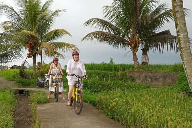 Ubud : Kintamani Downhill Cycling Tour with Lunch - Practical Details and What Travelers Can Expect