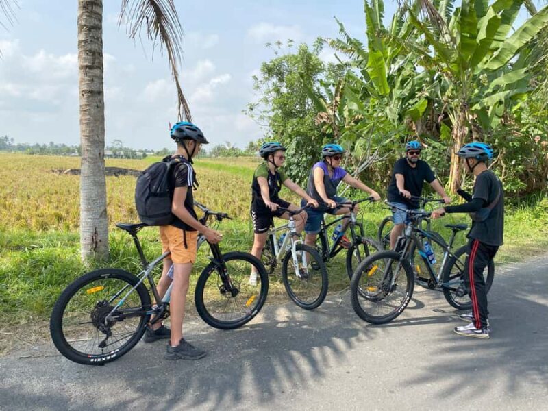 Ubud: Kintamani Downhill Cycling with small group & Private - The Sum Up: Who Is This Tour For?