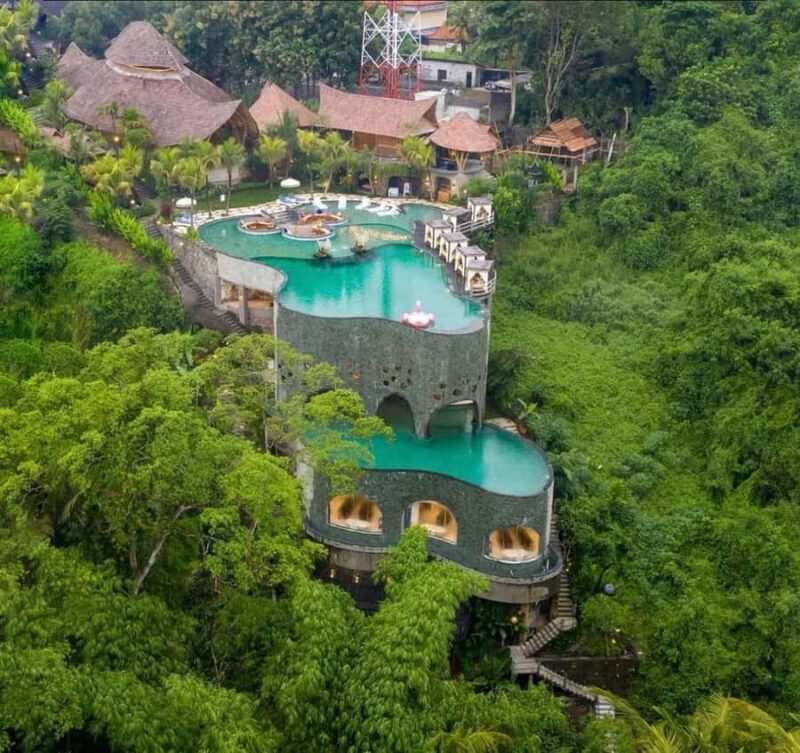 Ubud: Koi fish Photoshoot, Monkey Forest & infinity pool - A Day in Ubud: What to Expect from this Tour