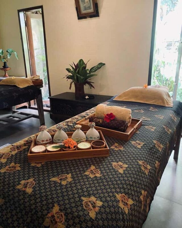 Ubud: Luxury Spa Massage Relaxing Package Amidst Rice Field - Analyzing the Value