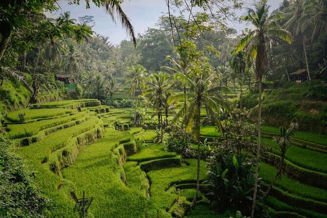 Ubud Memorable Trip - FAQ