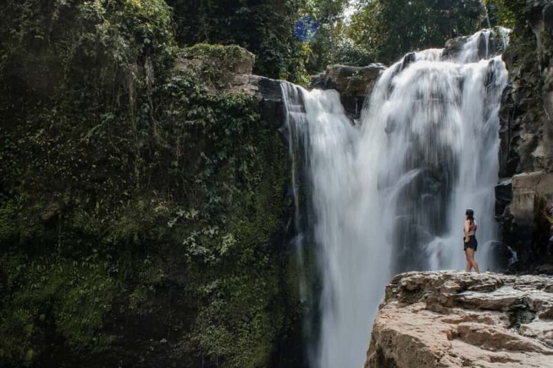 Ubud: Monkey Forest, Ceking Rice Terraces and More Full Day - Key Points