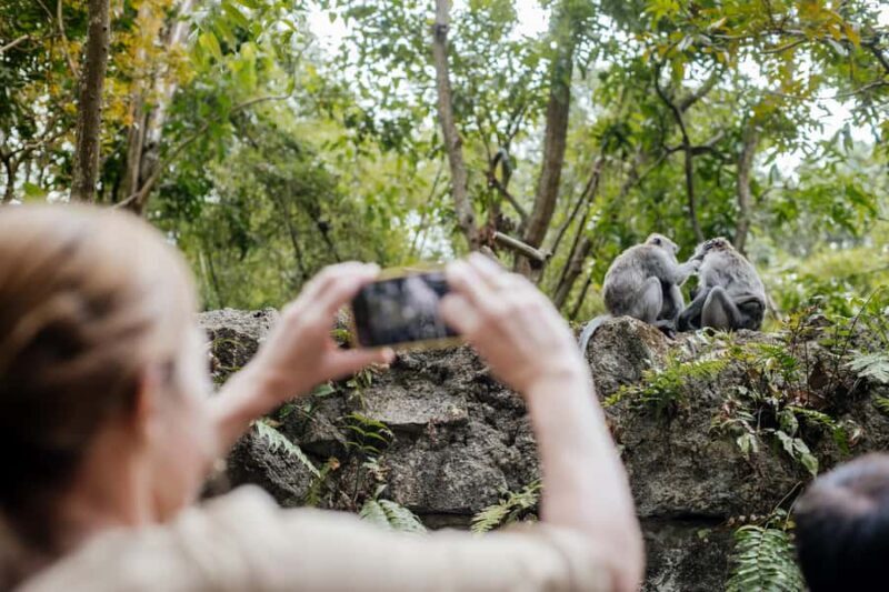 Ubud: Monkey Forest, Ceking Rice Terraces and More Full Day - The Full-Day Itinerary: What You’ll Experience
