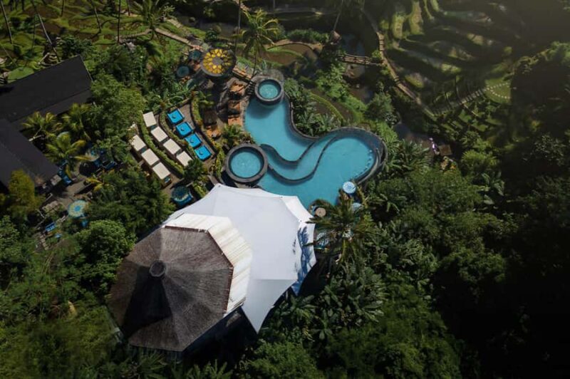 Ubud: Monkey Forest, Cretya Pool & Zipline Shared Tour - The Sum Up