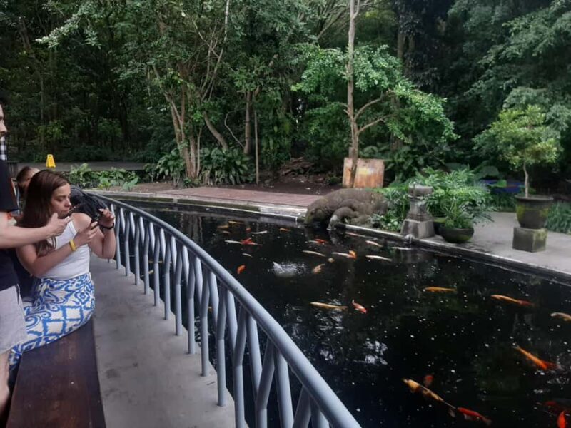 Ubud: Monkey Forest, Rice Terrace, and Waterfall - Final Thoughts: Who Will Love This Tour?