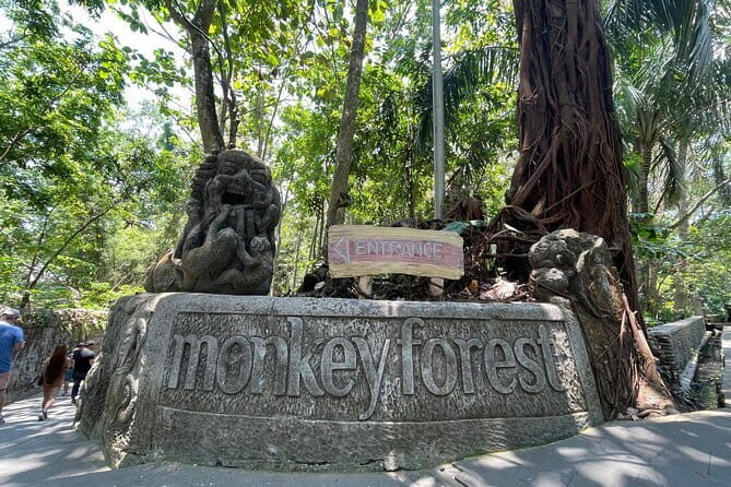 Ubud Monkey Forest Rice Terrace Temple Waterfall Private Tour - The Sum Up: Who Should Book This Tour?