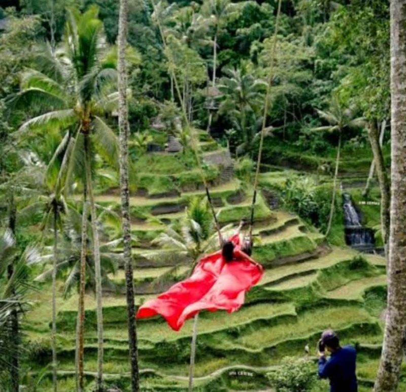 Ubud: Monkey Forest, Rice Terrace ticket included - Key Points