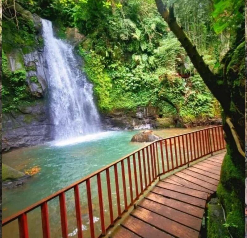 Ubud: Monkey Forest, Rice Terrace ticket included - Who This Tour Is Best For